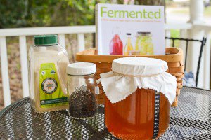 Review: Fermented, A Four Season Approach to Paleo Probiotic Foods ...