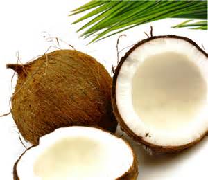 coconut | Against All Grain - Delectable paleo recipes to eat & feel great